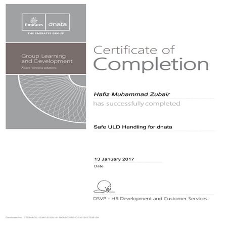 Certificate | PDF