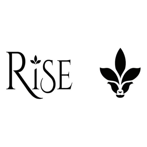 _RISE_LOGO-ASSETS | PDF