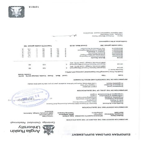 BSC (hons) ACC & FIN TRANSCRIPT | PDF