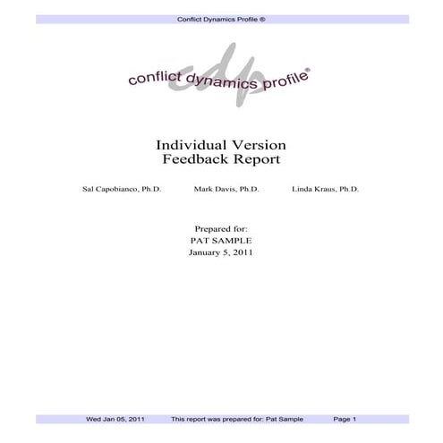 CDP-Conflict Dynamics Profile 2 | PDF