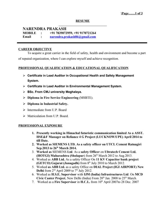 CV-Narayan Pradhan | DOC | Business | Business and Finance