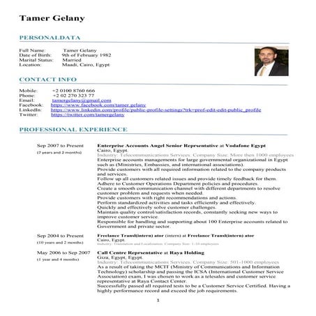 Mohamed Adel CV | DOCX
