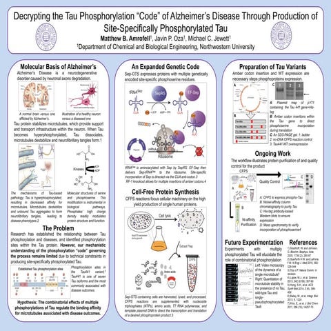 Tau phosphorylation - Creative Diagnostics | PPTX
