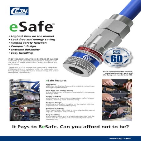 eSafe (2) | PDF