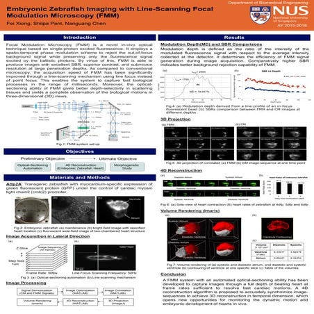 FYP-Poster | PDF