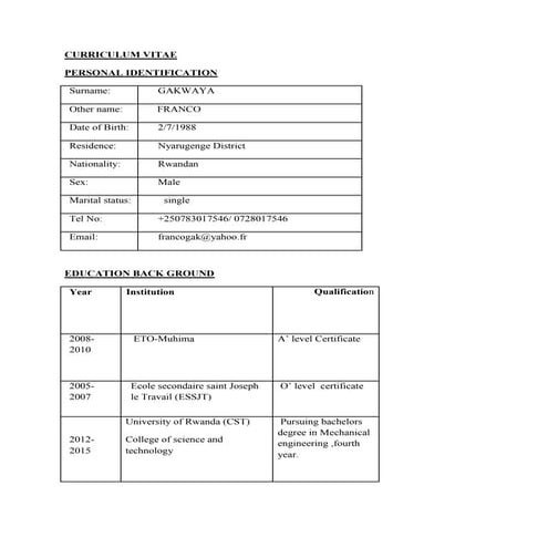 cv patrick | PDF