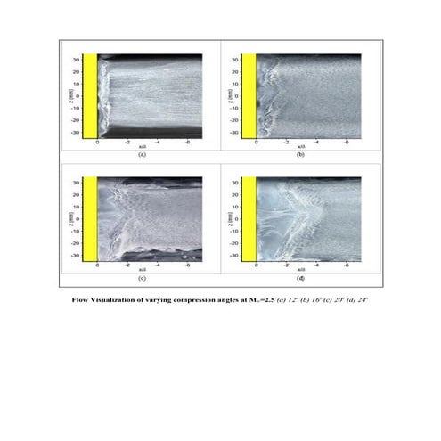 Flow Visualization Pdf