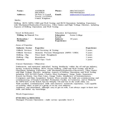 andrew meaden february 2016 cv | DOCX