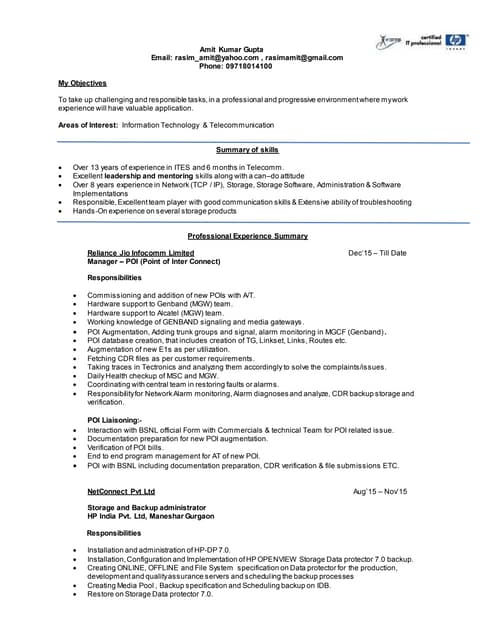 Carlos Cheng - Summary of experience | DOCX
