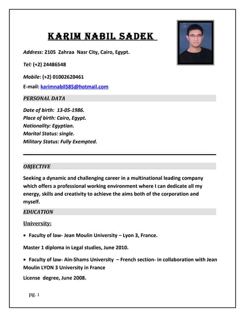 Lawyer CV (Advocate Ayaz Ali) | DOC | Legal Services Industry | Industries