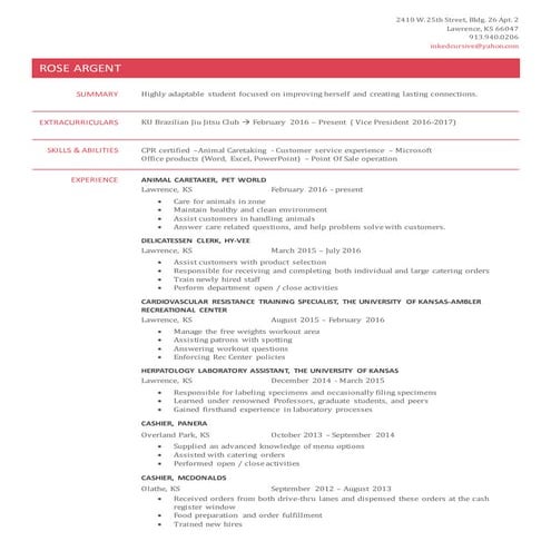 Kevin lyon resume | DOC