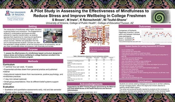 Capstone Poster Presentation | PPTX