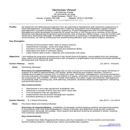 20160406-Nicholas Wood CV | DOC