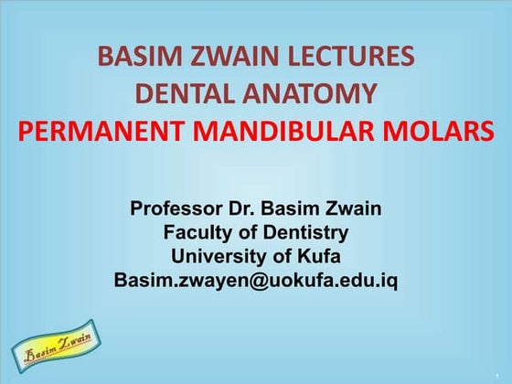 Permanent mandibular first molar | PPT