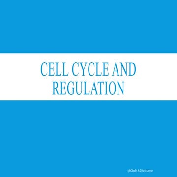 Cell Cycle Regulations | PPT