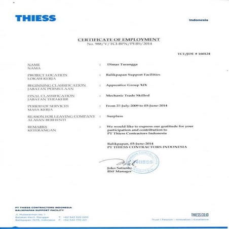 Working Experience Pdf