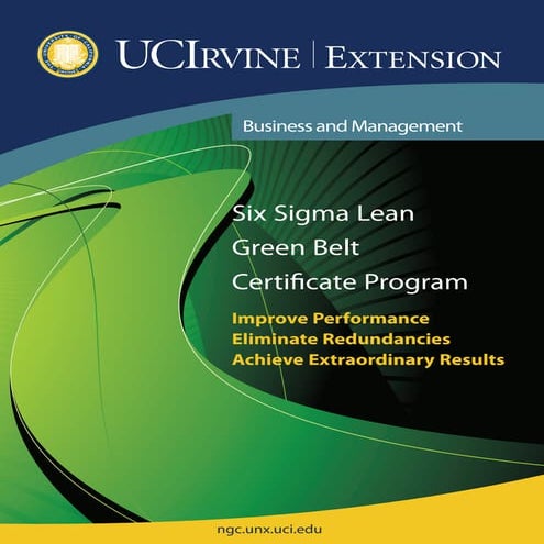 Six Sigma Lean Brochure_Chester w1 | PDF