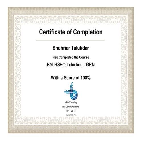 BAI HSEQ Induction - GRN | PPT