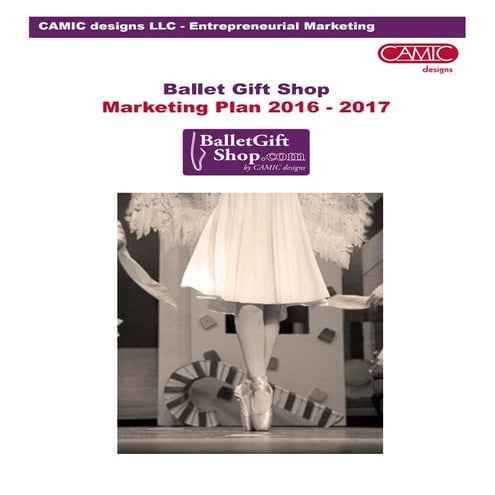 Michael Caston - Marketing Plan2 | PDF