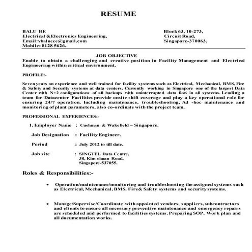 Balu Resume | PDF