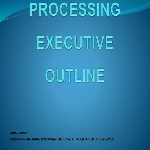 DOCUMENTATION EXECUTIVE OUTLINE | PPT