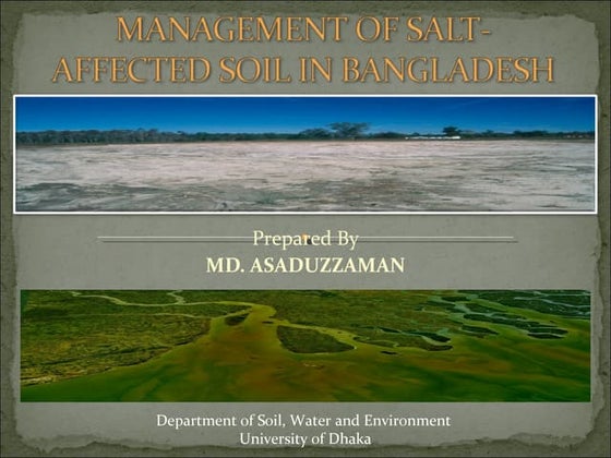 Salinity and Types of Salinity | PPT