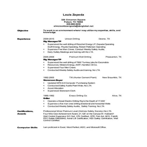 Louis resume 2010 | PDF
