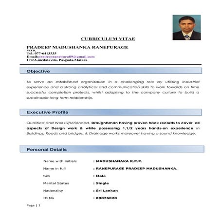 Pradeep cv (2) | DOC