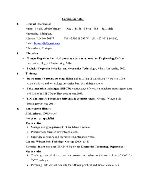 Preda Marius CV EN | PDF