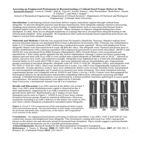 Romero BMES Abstract 2015_final | PDF