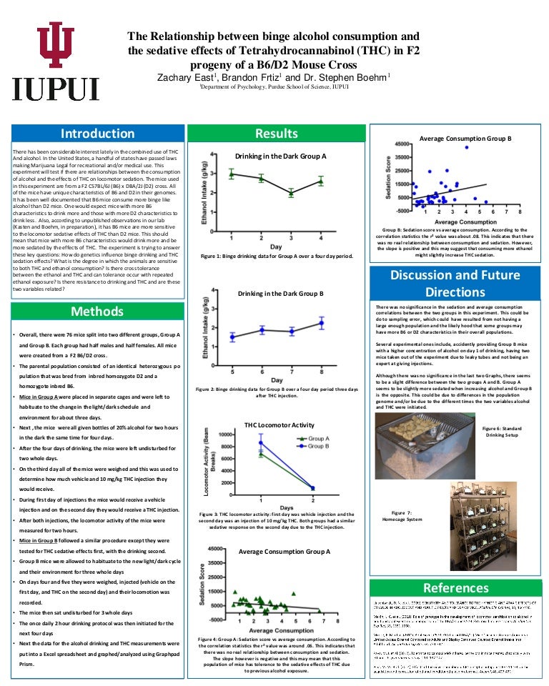 Capstone Poster Final