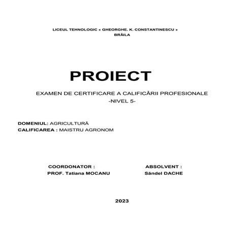 DACHE SANDEL(2).docx