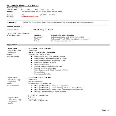 rashid CV | DOCX | Technology & Computing