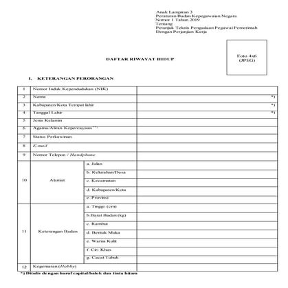 Daftar-Riwayat-Hidup-_-BKN-pppk.doc
