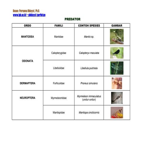 PREDATOR HAMA DI INDONESIA | PDF