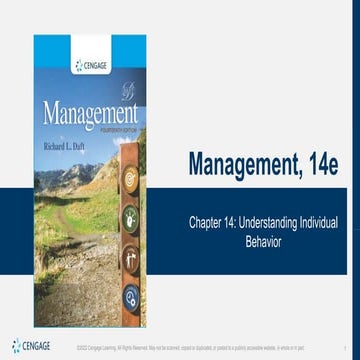 Management Chapter 14: Understanding Individual Behavior | PPTX