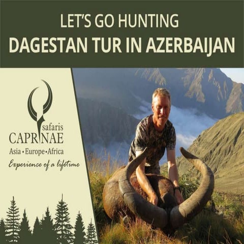 Grab your Dagestan Tur in Azerbaijan with Caprinae Safaris. | PPT