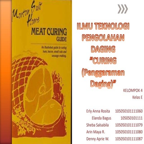 Daging ppt | PPTX