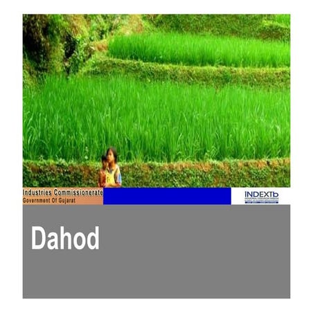 Dahod - District Profile | PDF