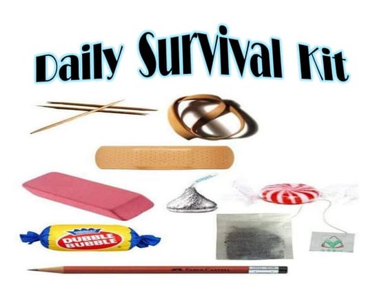 Daily Survival Kit | PDF
