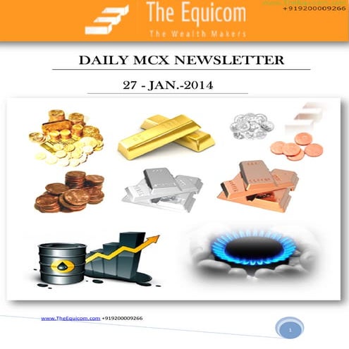 Daily mcx newsletter by theequicom finance 25 june 2013.