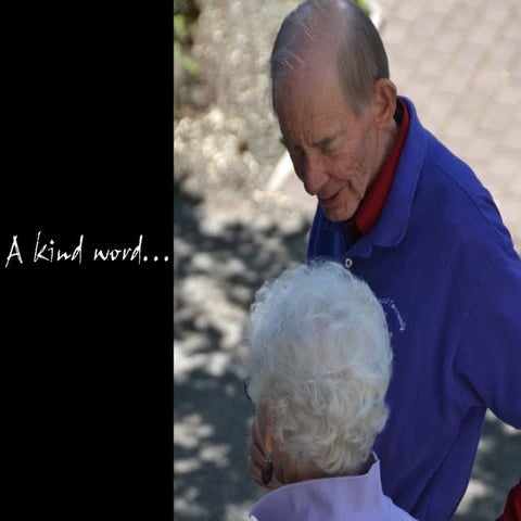 Daily offering | PDF