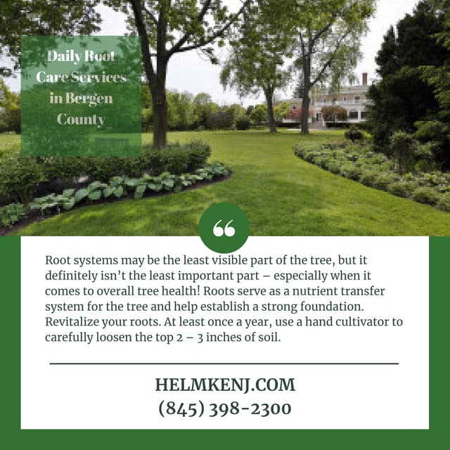 Daily Root Care Services in Bergen County | PDF