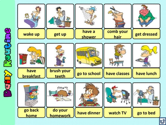 Daily Routine flashcards
