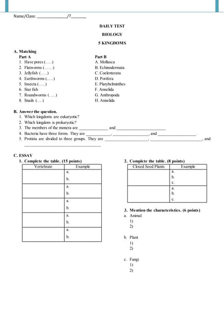 Grade 7 ns exam | PDF