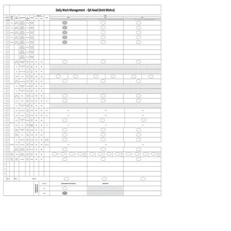 Daily work management example | PDF