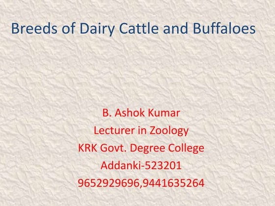 DIFFERENCE BETWEEN BOS TAURUS AND INDICUS | PDF