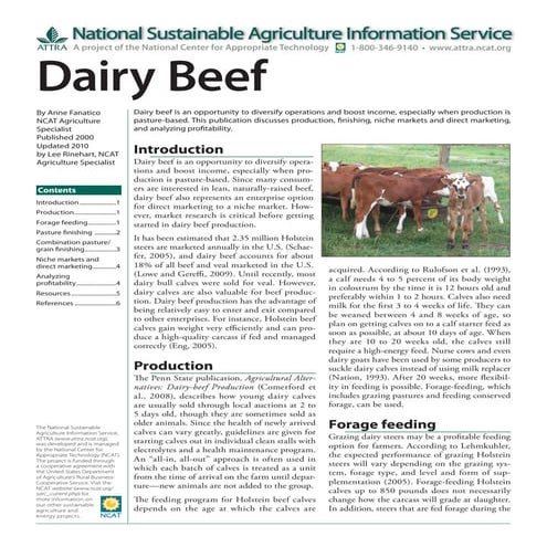 Dairy Beef | PDF