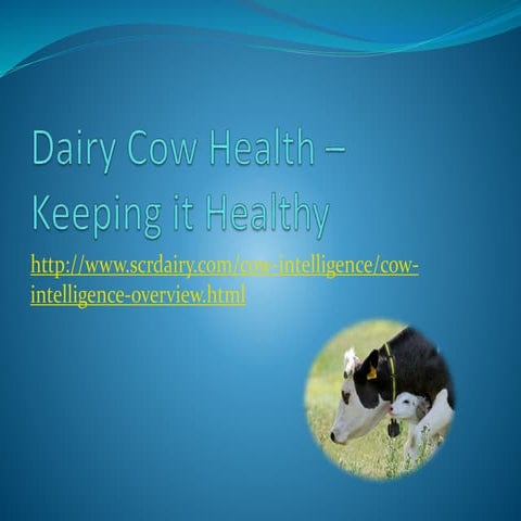 Dairy Cow Health | PPTX