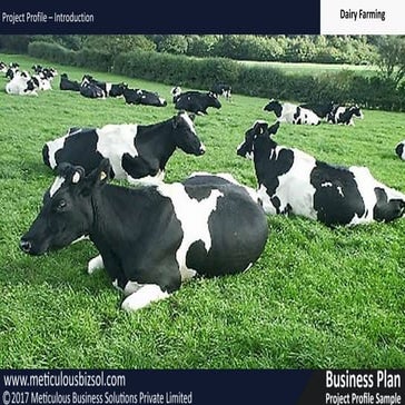 BUSINESS PRESENTATION ON COW DAIRY FARMING | PPTX